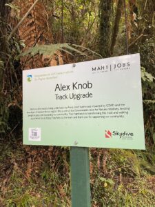 Franz Josef Hiking: Alex Knob Track - Jess and Ben Travel