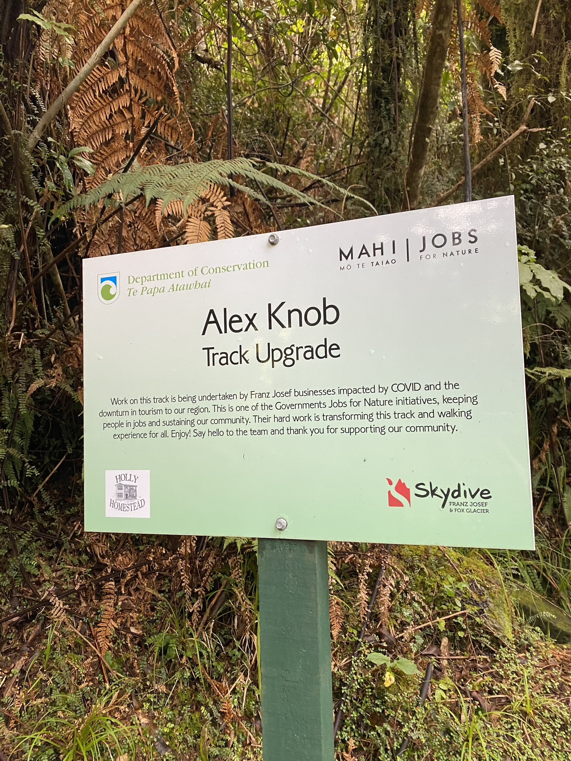 Franz Josef Hiking: Alex Knob Track - Jess and Ben Travel