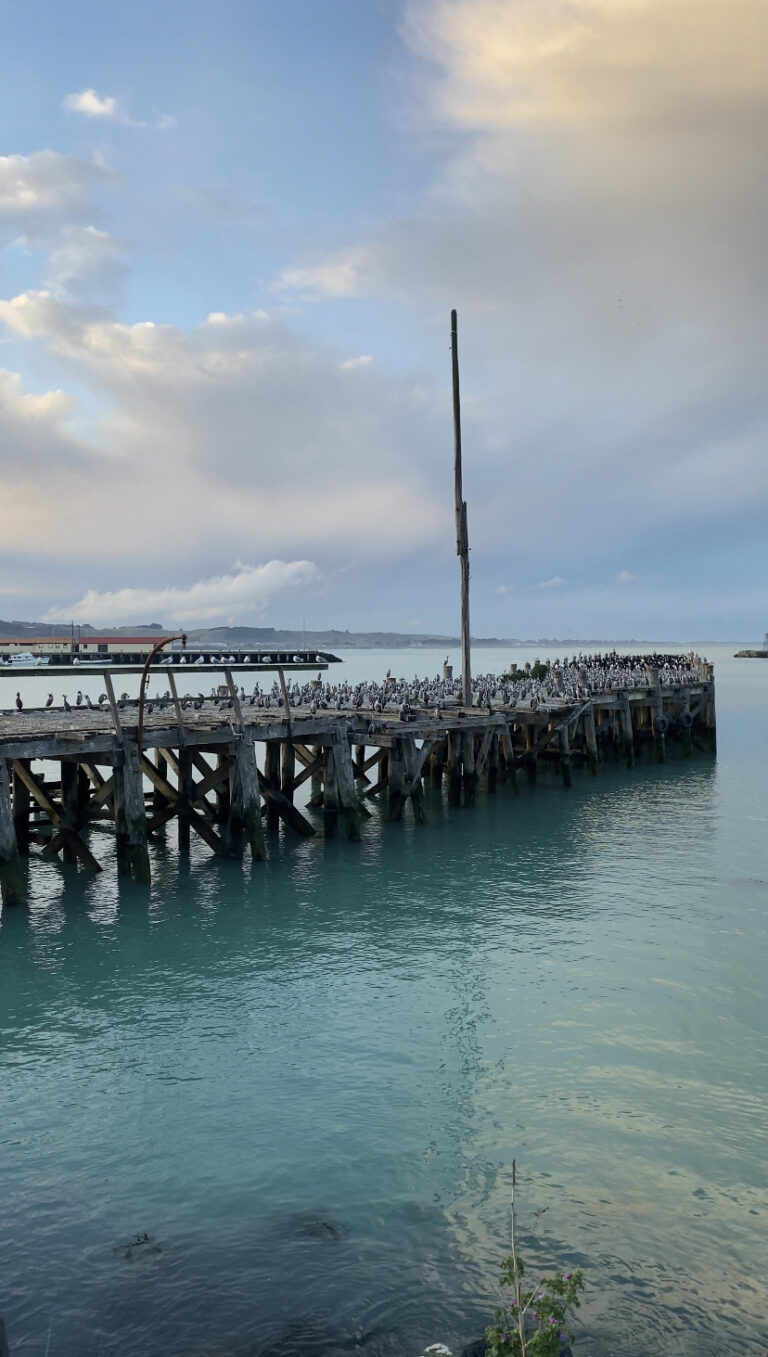 10 Things To Do In Oamaru: New Zealand's Victorian Town - Outdoor Adventure