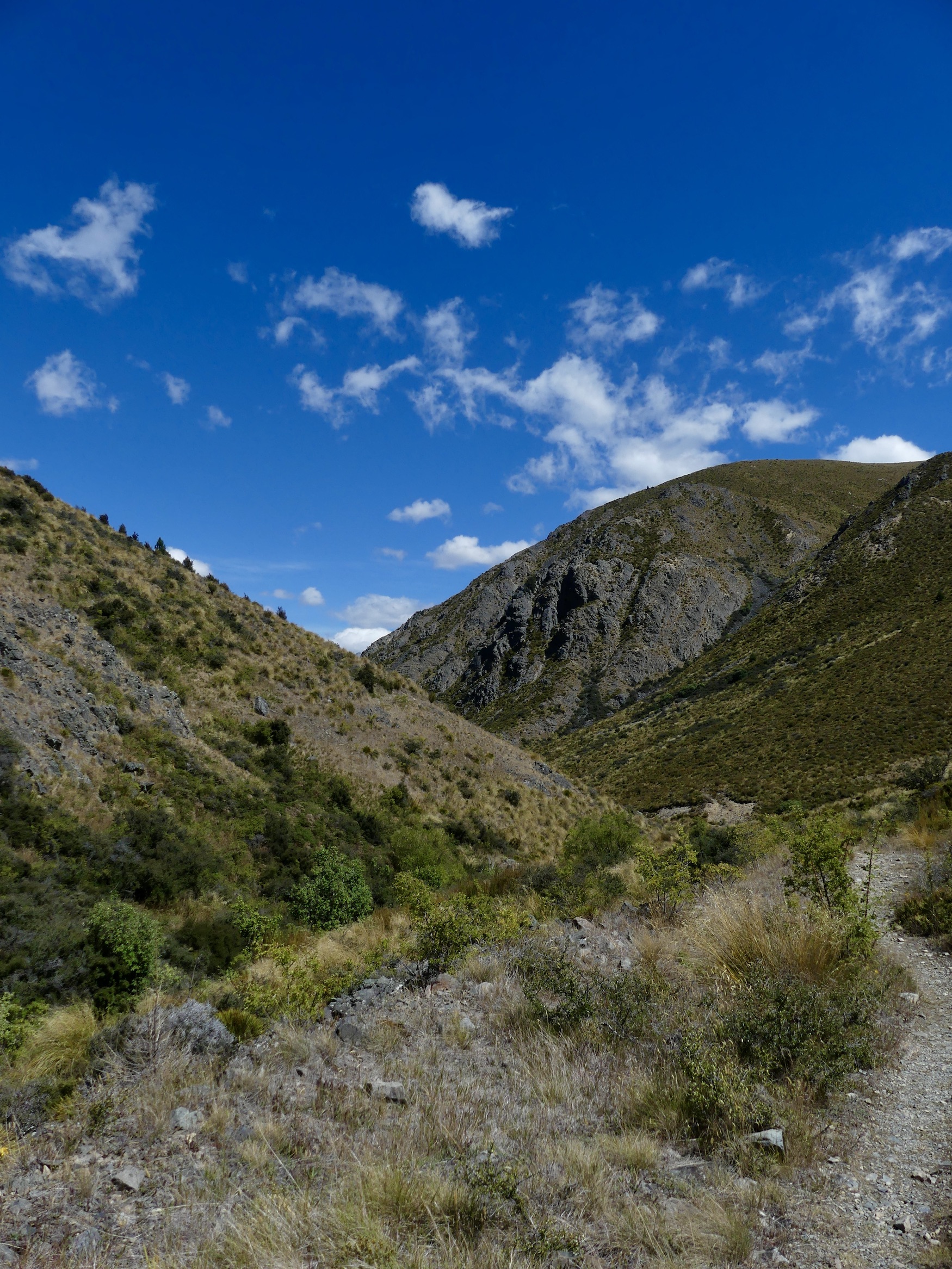 Ben Ōhau Hike And Greta Track: A Hidden Gem In Twizel, New Zealand ...