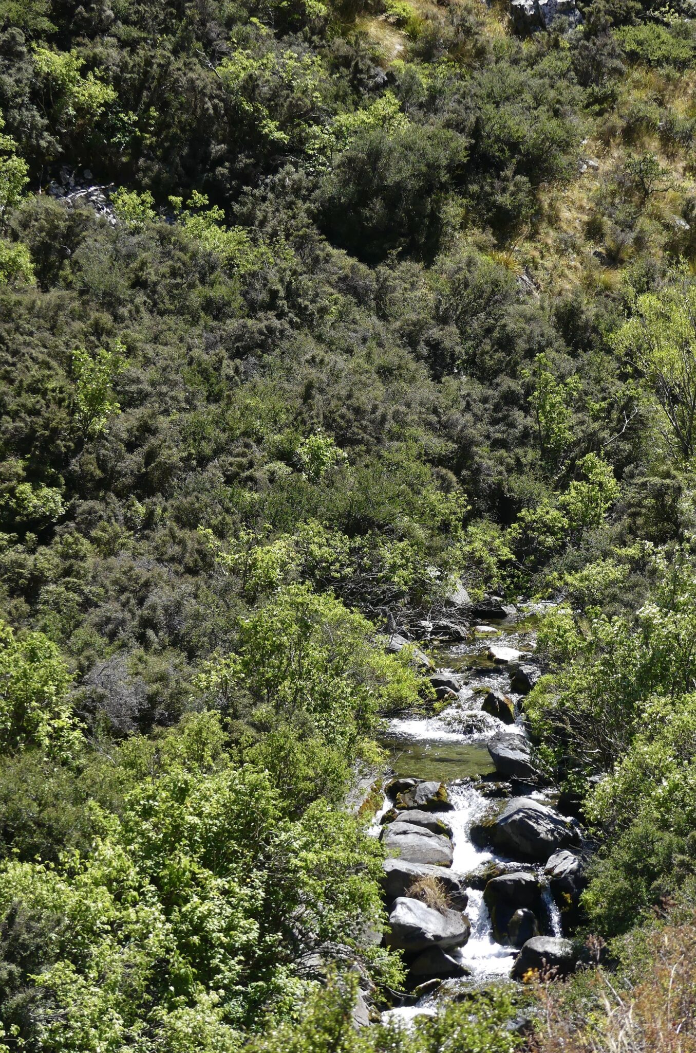 Ben Ōhau Hike And Greta Track: A Hidden Gem In Twizel, New Zealand ...